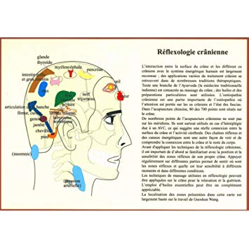 Réflexologie crânienne énergétique